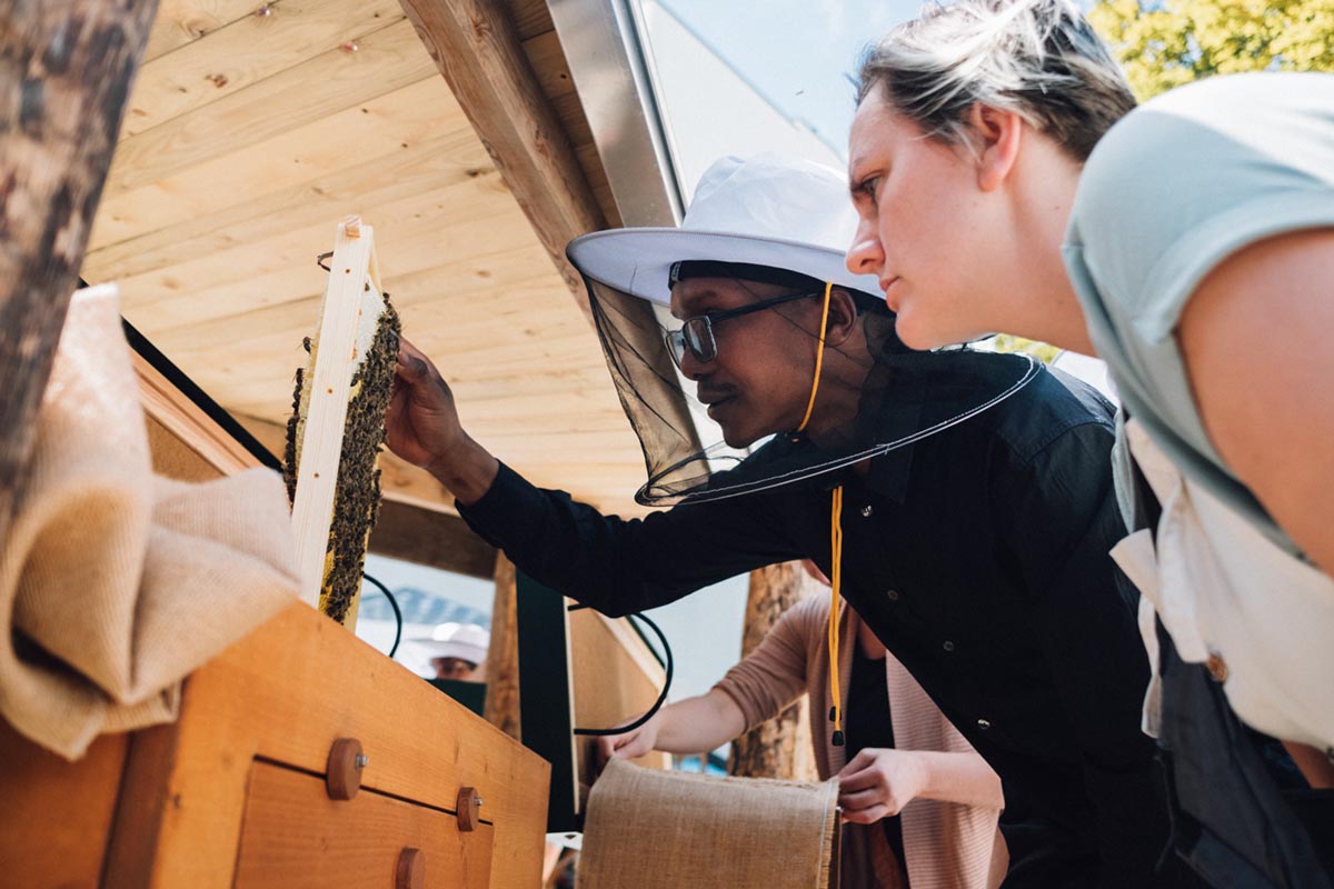 Mitgliedervorstellung: Stadtbienen gGmbH - Gib Bienen ein Zuhause - FKU